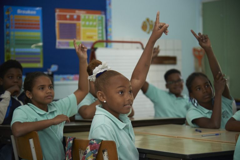 Services | Famia Plania