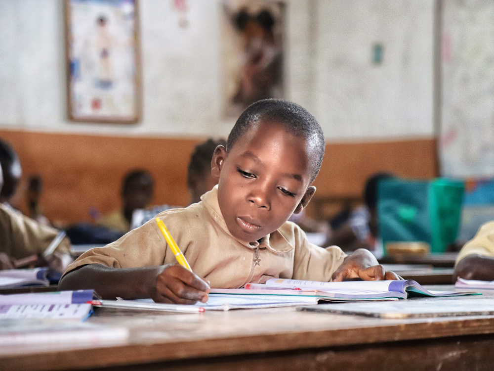 Services | Famia Plania